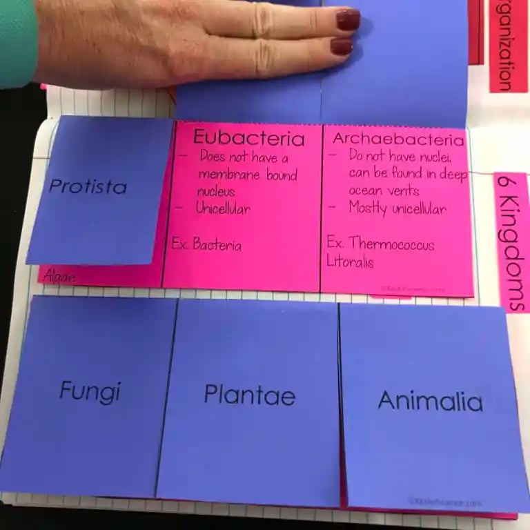 Classification Lesson Plan – A Complete 5E Method Science Unit